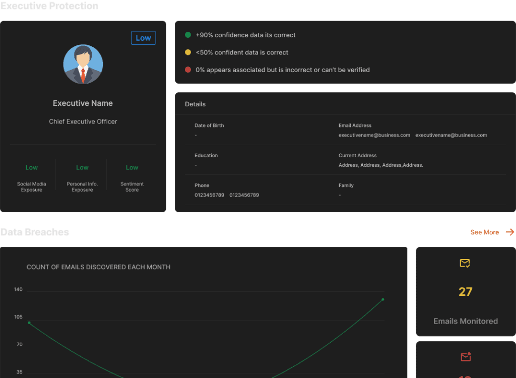 Executive Protection - Styx Intelligence