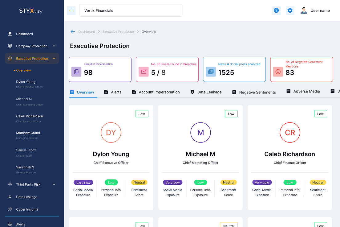 Executive Protection - Styx Intelligence